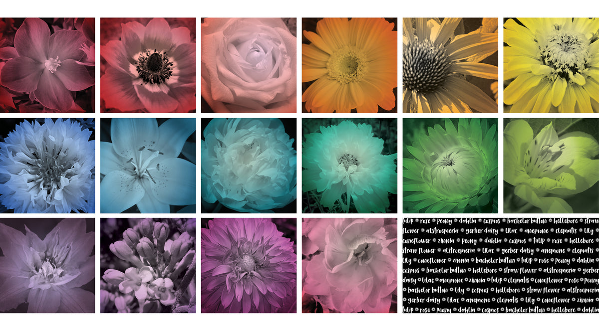 Mini-Blooms, Multi-colored—digital fabric – Urban Loon Studios
